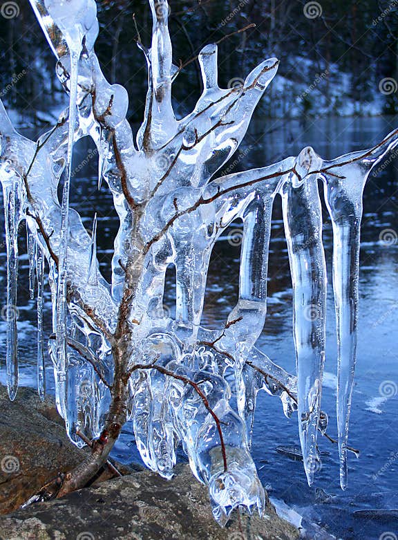 Ice cold blue stock photo. Image of aqua, freezing, icicles - 11231332