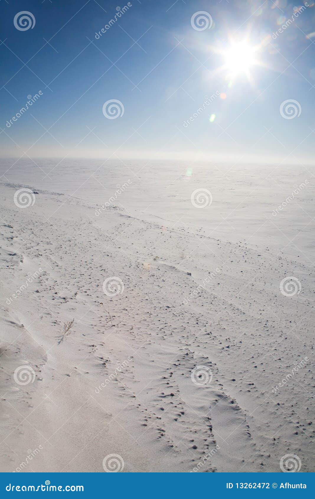 Ice cold desert stock photo. Image of extreme, scene - 13262472