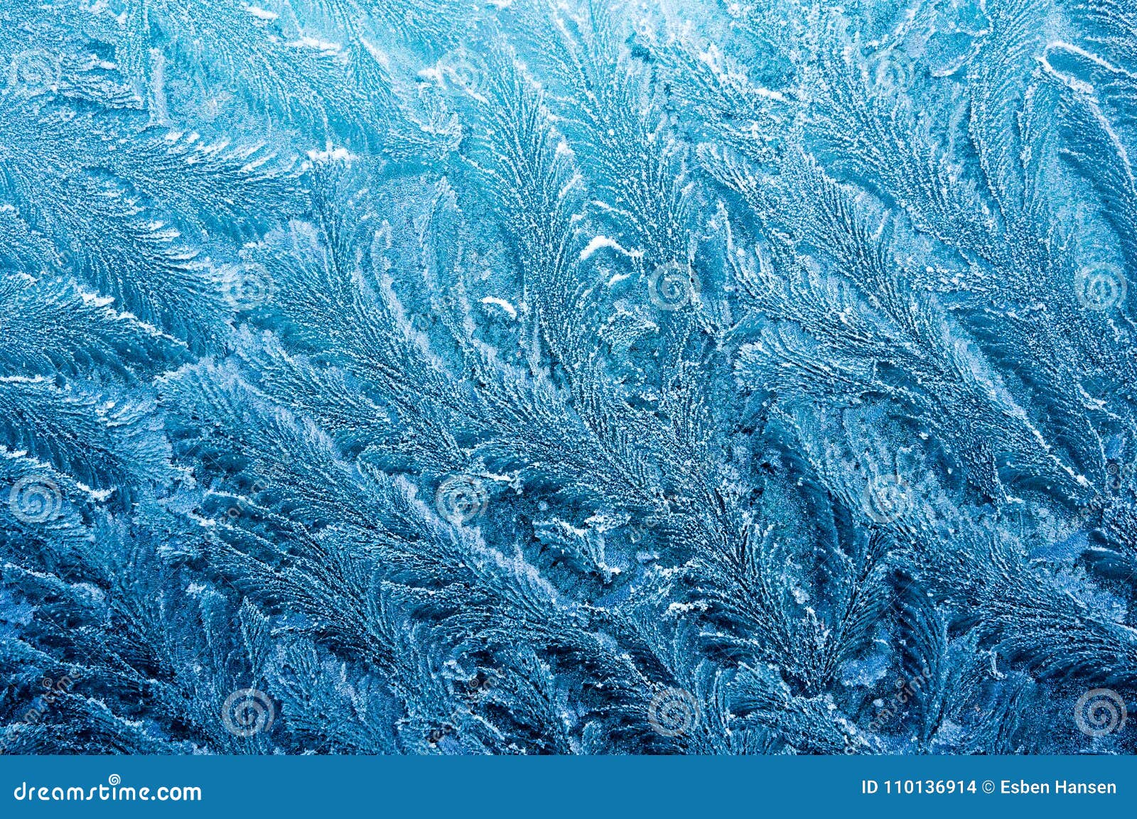 The Ice-cold Frost Forms Ice Crystals in Beautiful Unique Patterns ...