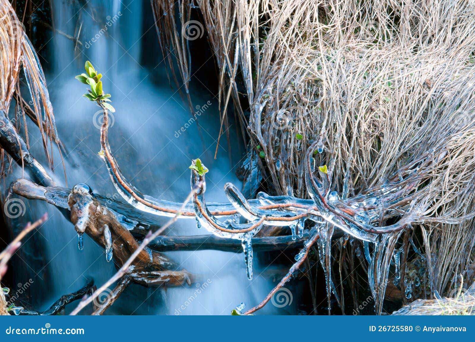 Ice-cold stream stock photo. Image of plant, shiny, stream - 26725580