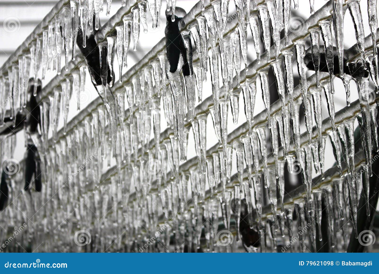 Ice-covered Clothesline in the Winter Stock Photo - Image of christmas ...