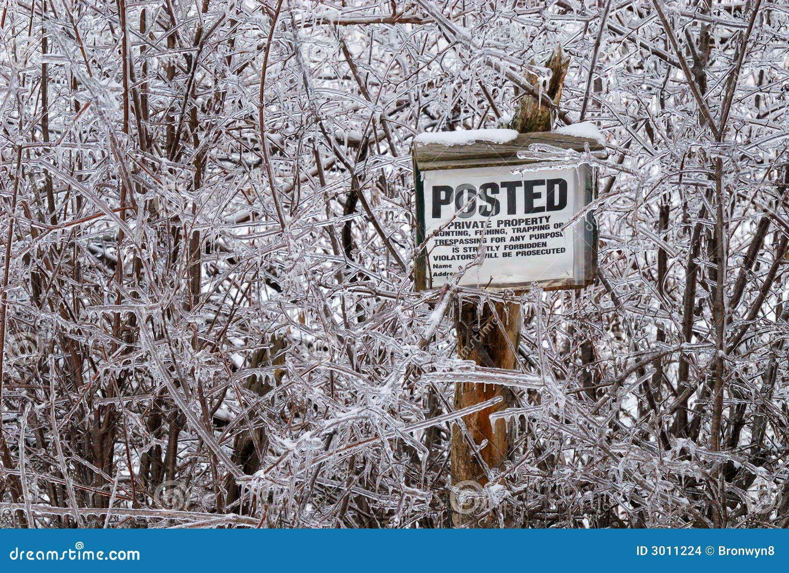 Ice covered posted sign stock photo. Image of property - 3011224