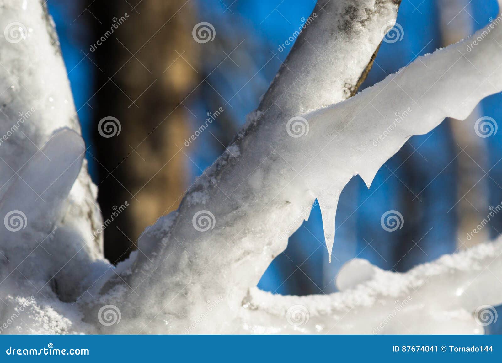 Ice covered tree branches stock image. Image of cover - 87674041