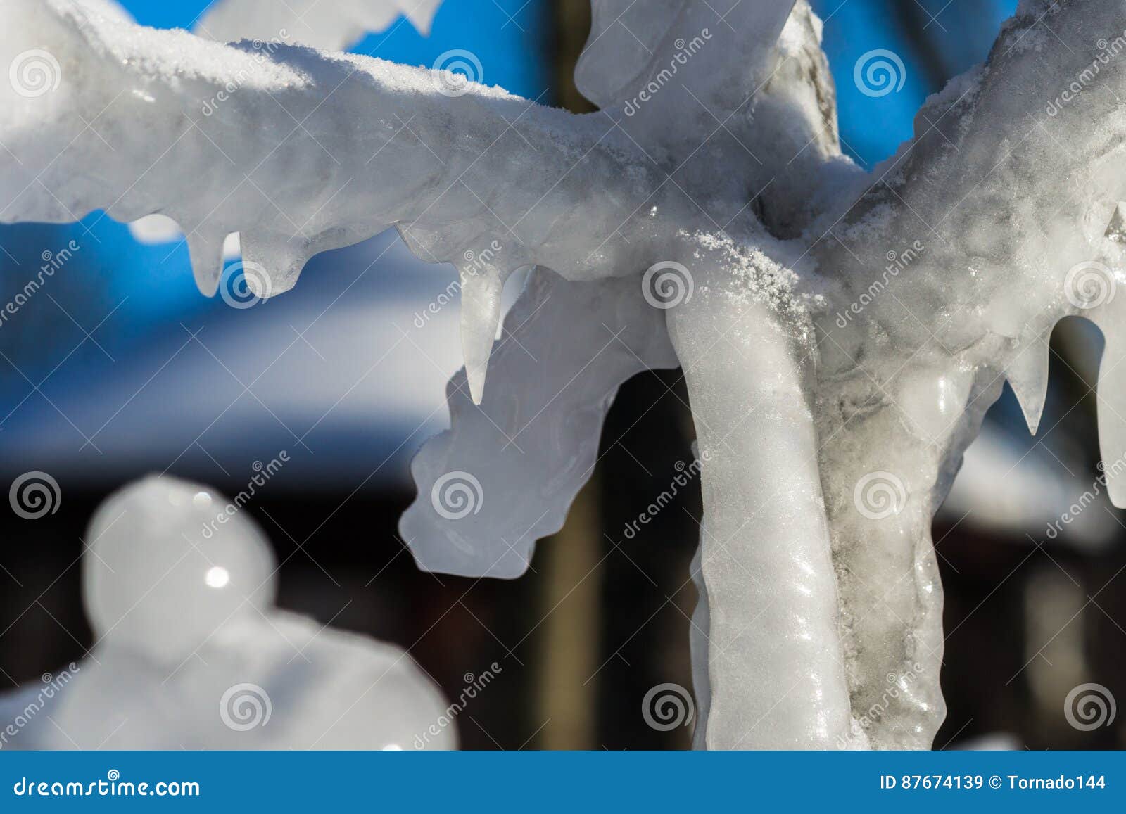 Ice covered tree branches stock image. Image of illumination - 87674139