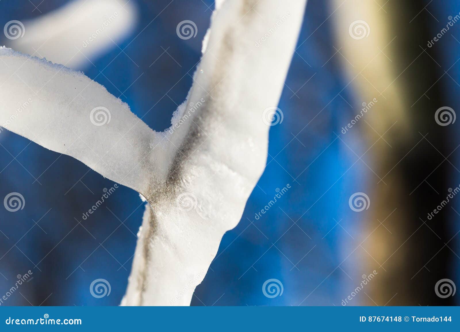 Ice covered tree branches stock photo. Image of shadow - 87674148
