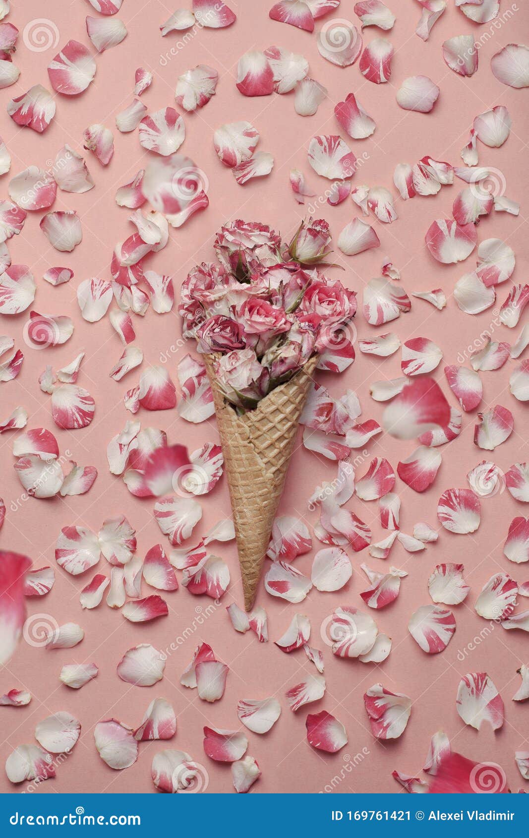 Ice Cream Cone with Roses and Petals Stock Image - Image of composition ...