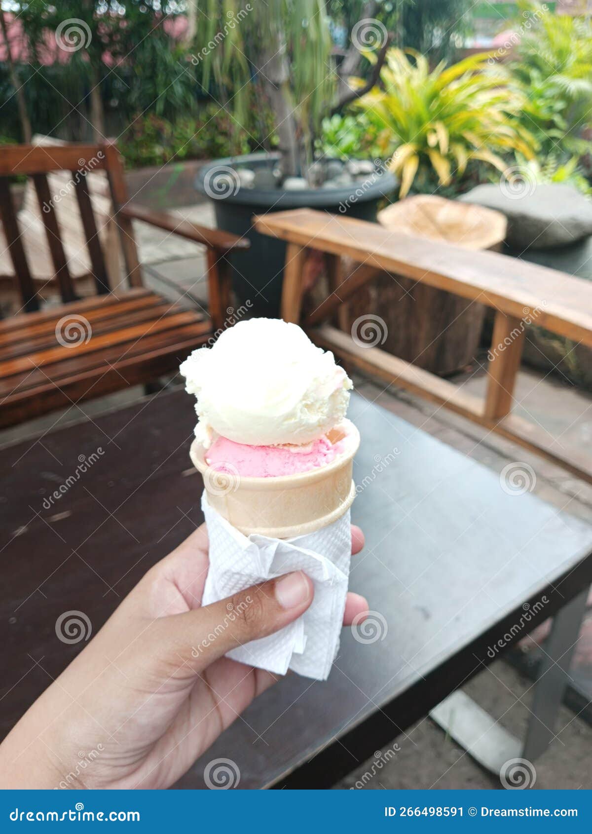 Ice Cream Time after Taking Class Vanilla and Strawberry Flavor Stock ...