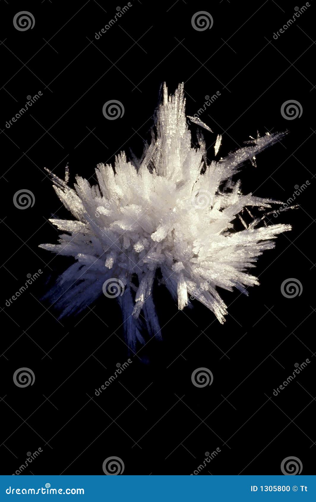Ice crystal stock photo. Image of white, crystal, snowy - 1305800