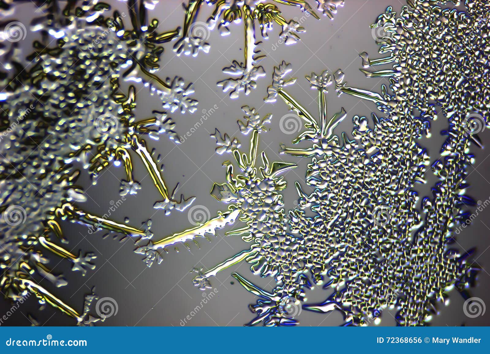 Ice Crystal Formation stock photo. Image of frozen, formation - 72368656