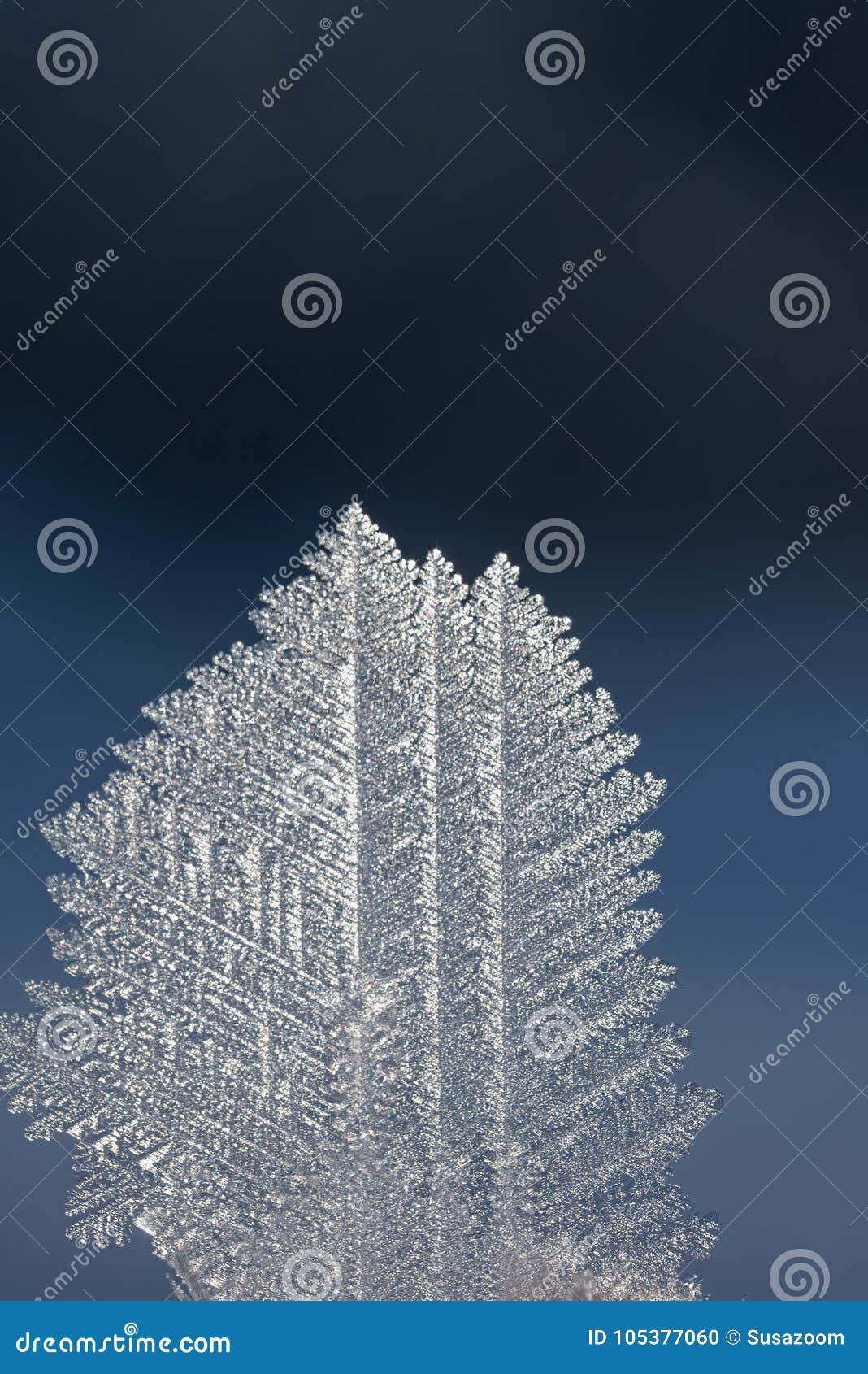 Ice Crystal Macro in Shape of Three Trees Stock Photo - Image of ...