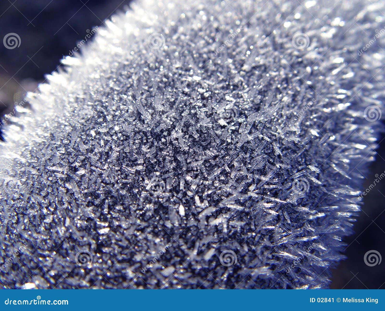 Ice Crystals stock image. Image of frosty, beauty, cold, morning - 2841