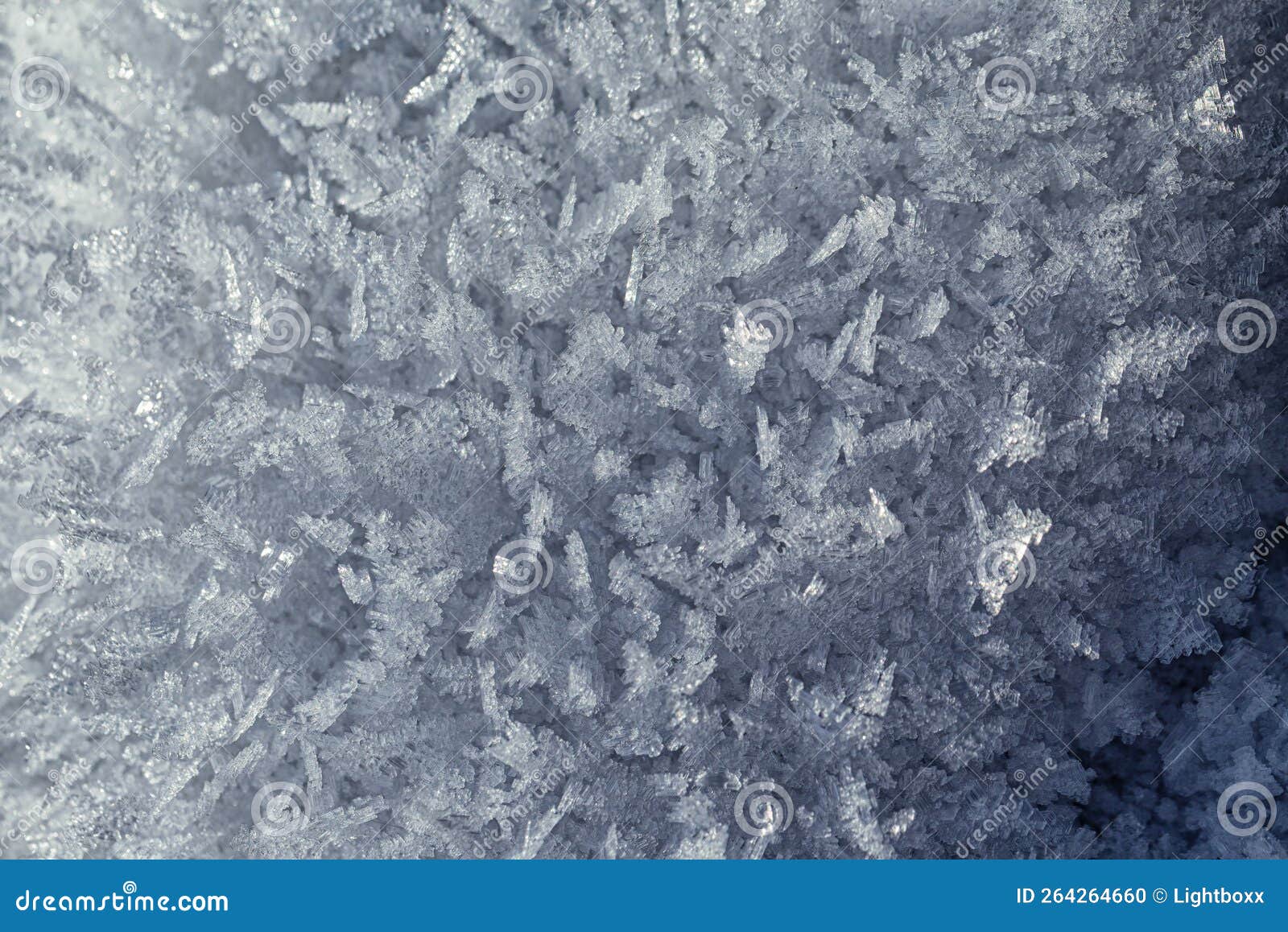 Ice Crystals. Closeup stock photo. Image of crystal - 264264660
