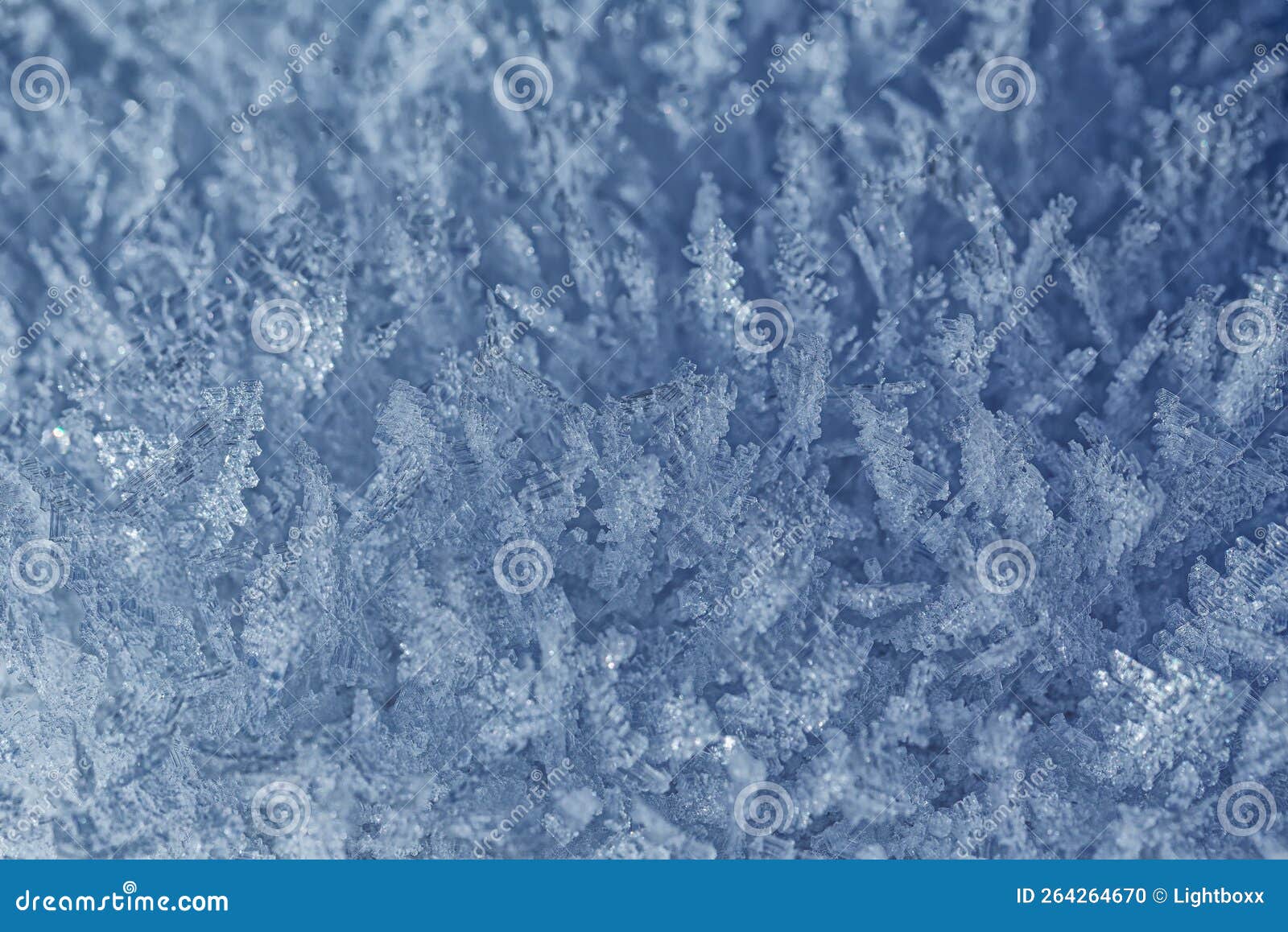 Ice Crystals. Closeup stock photo. Image of cold, background - 264264670