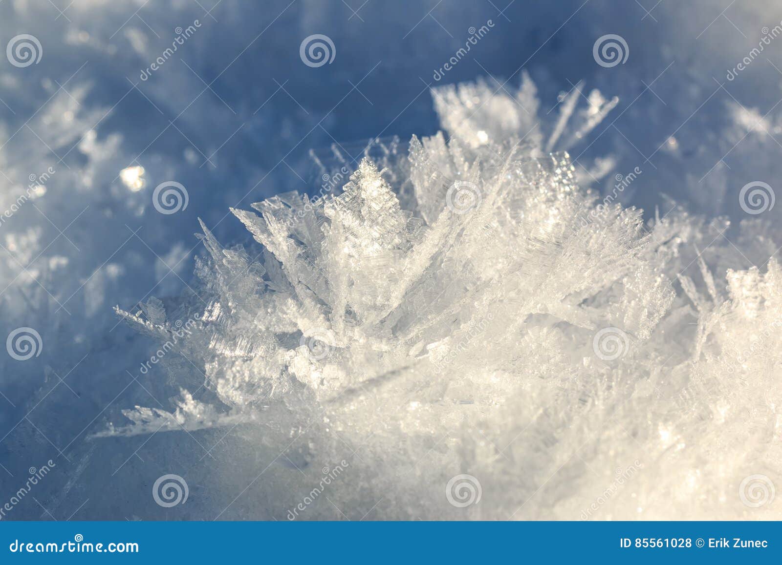 Ice crystals forming stock photo. Image of crisp, macro - 85561028