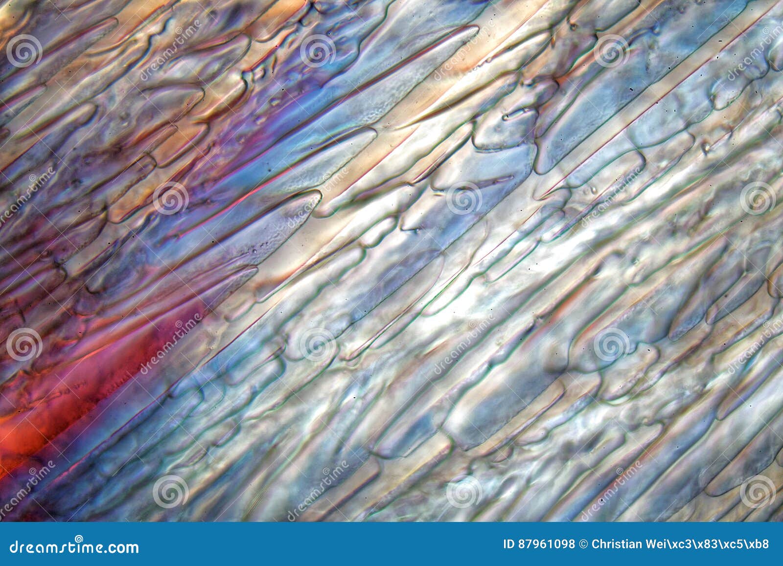 Ice Crystals of Frozen Red Grape Juice Stock Photo - Image of micro ...