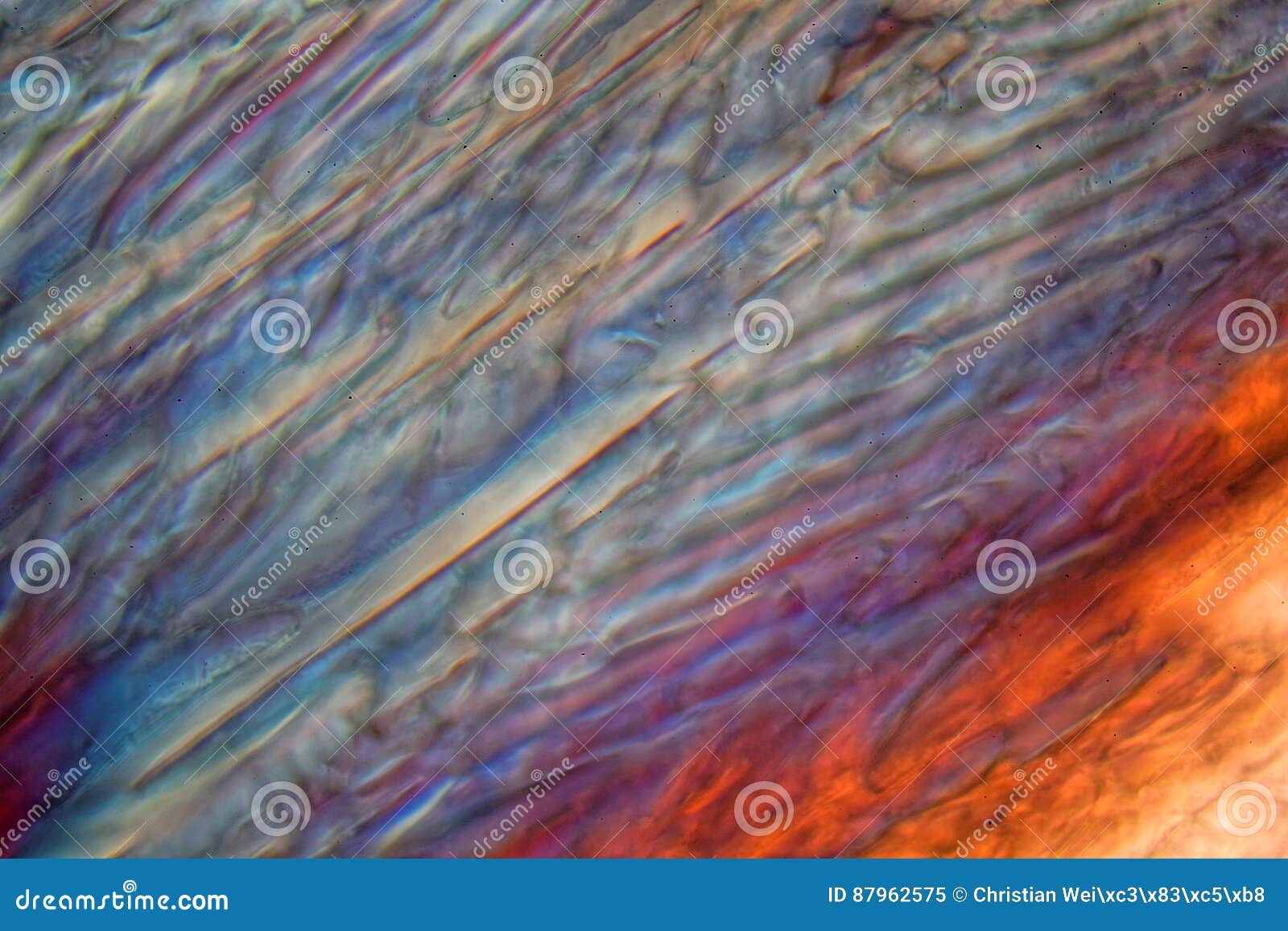 Ice Crystals of Frozen Red Grape Juice Stock Image - Image of detail ...