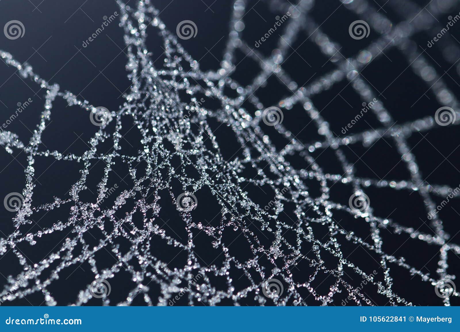 Ice Crystals on Frozen Spider Web Stock Image - Image of crystals ...
