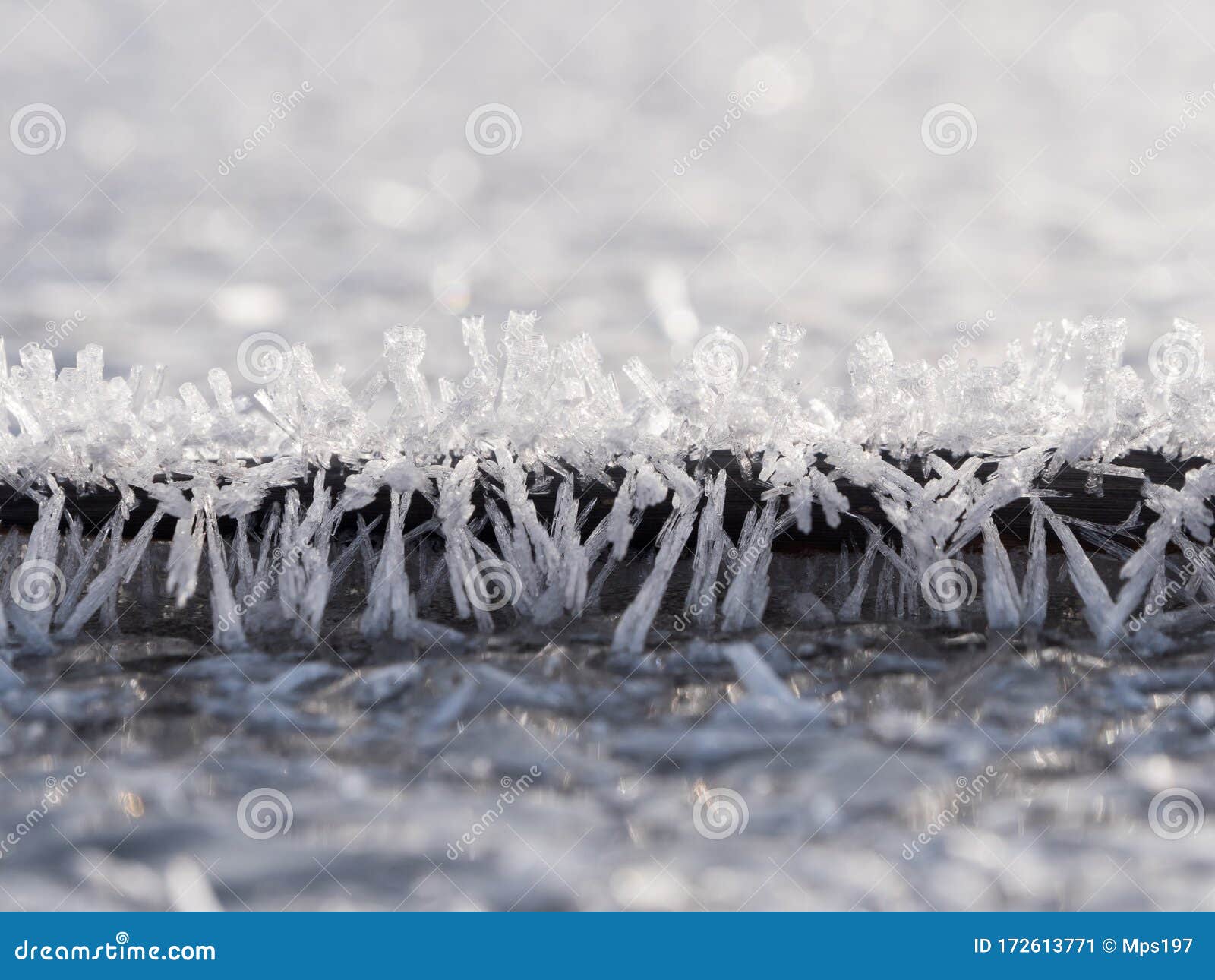 Ice Crystals on Frozen Twig Stock Image - Image of twig, straight ...