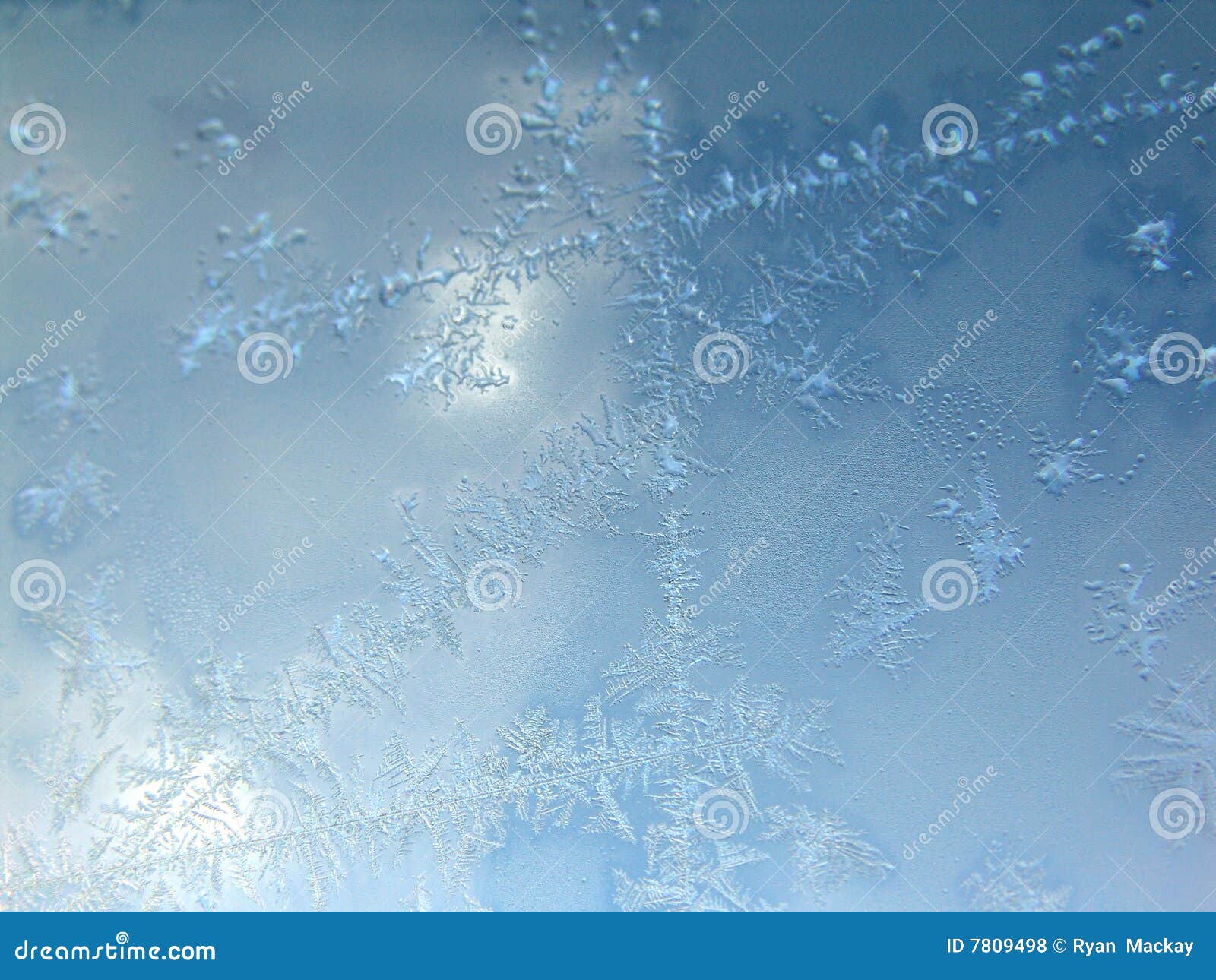Ice crystals on glass stock photo. Image of wetness, outdoor - 7809498