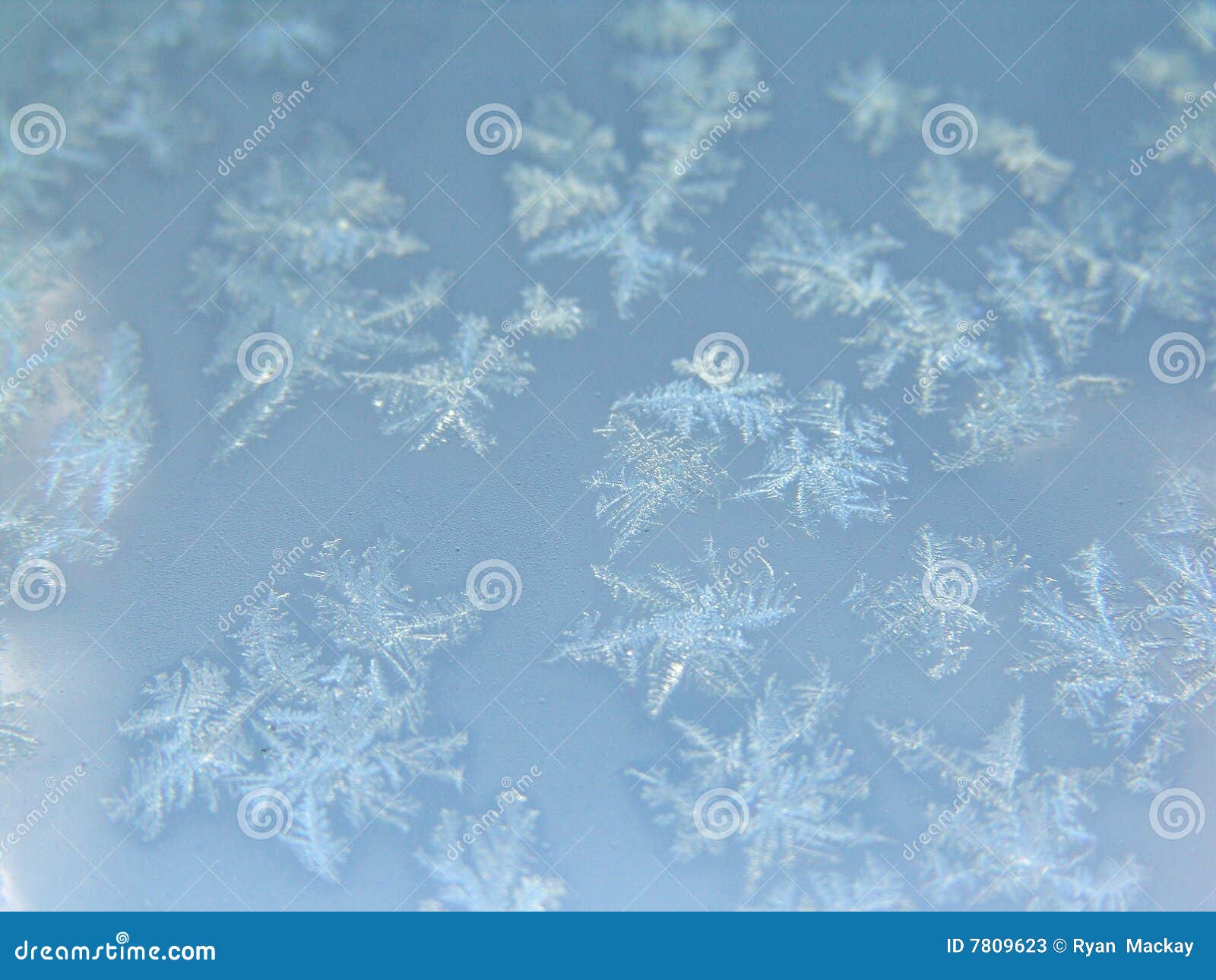 Ice crystals on glass stock image. Image of freeze, seasonal - 7809623