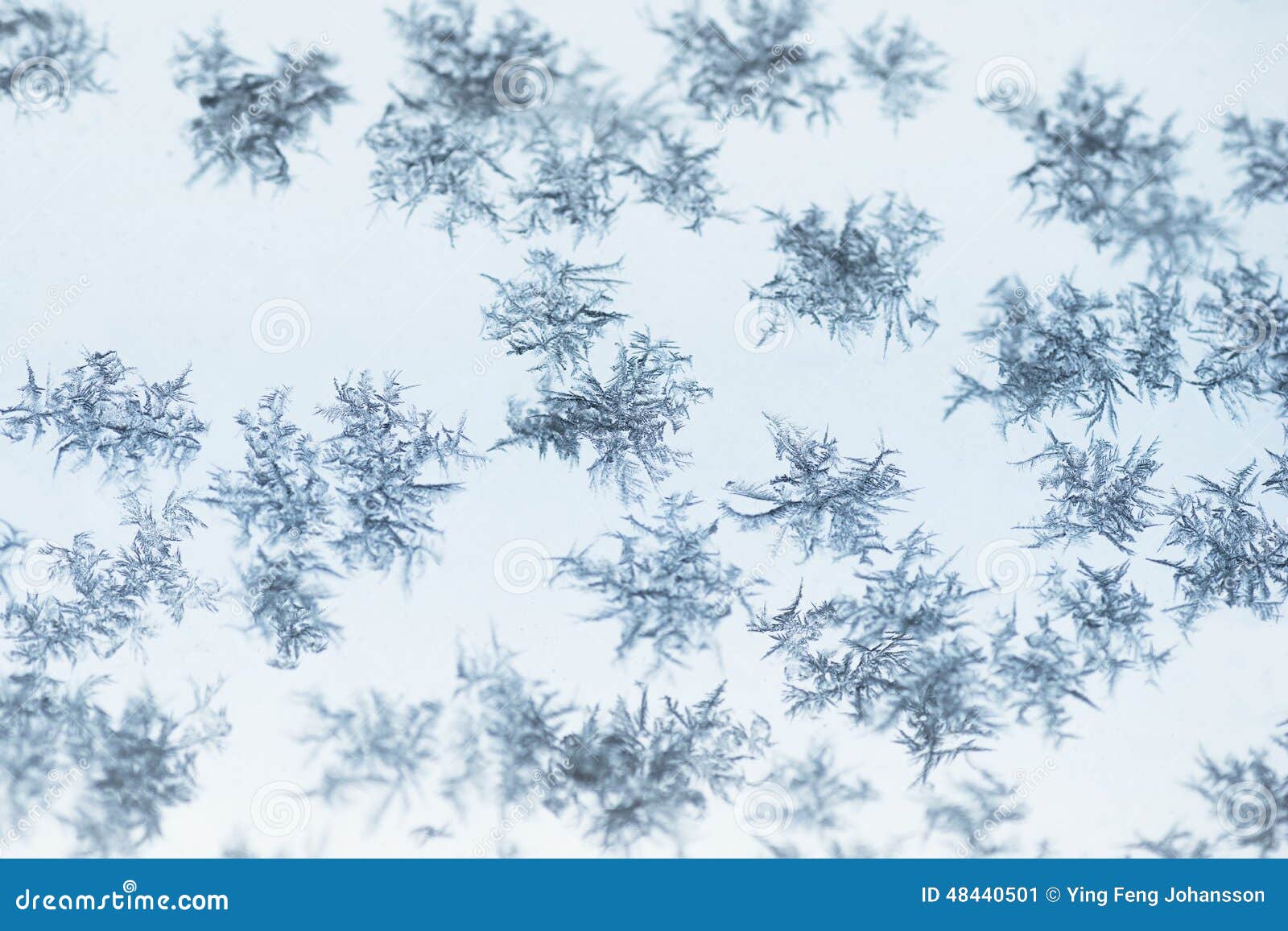 Ice crystals on glass stock image. Image of beauty, macro - 48440501