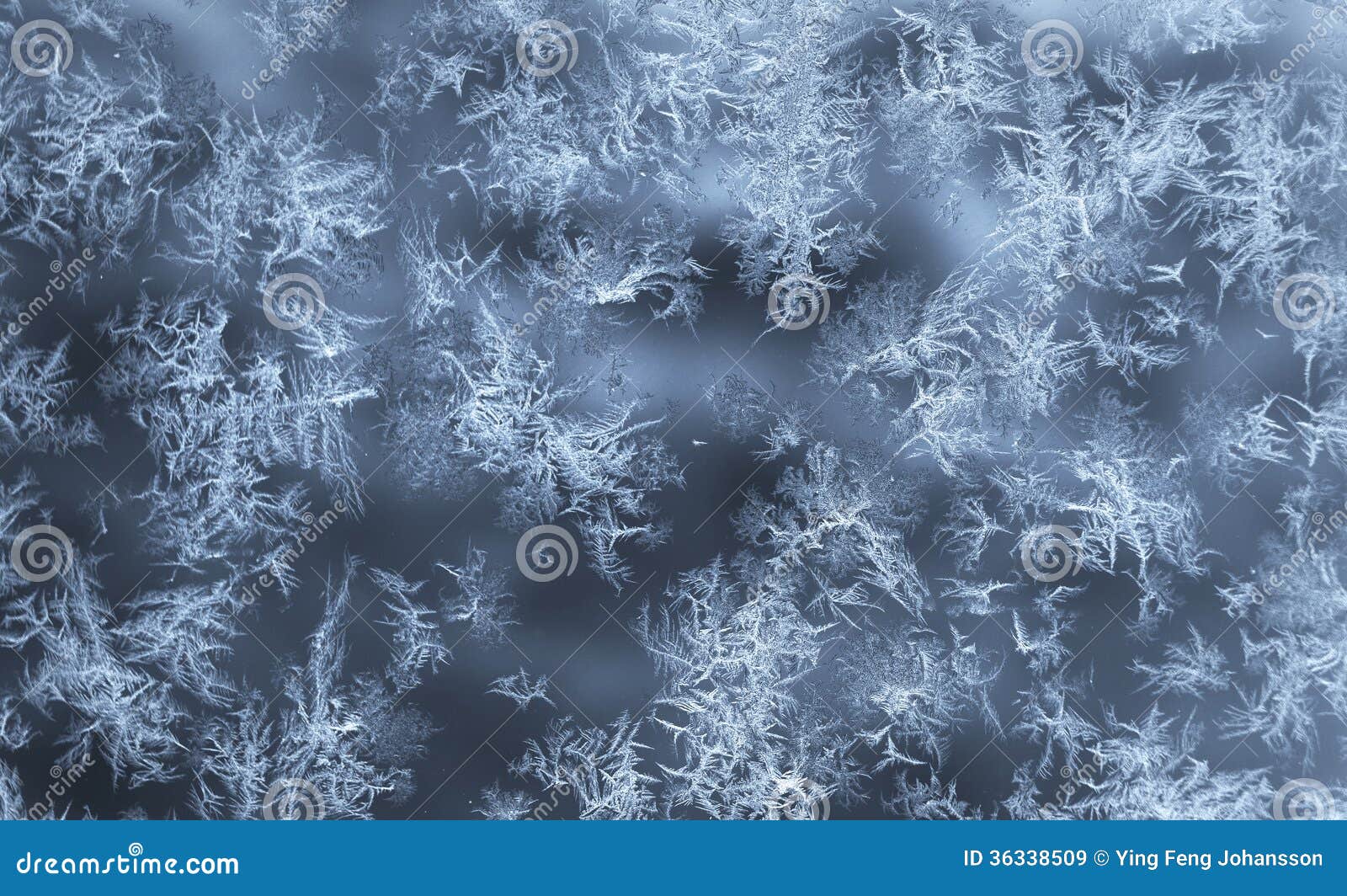 Ice Crystals Glass Forming Beautiful Patterns Stock Photos - Free ...