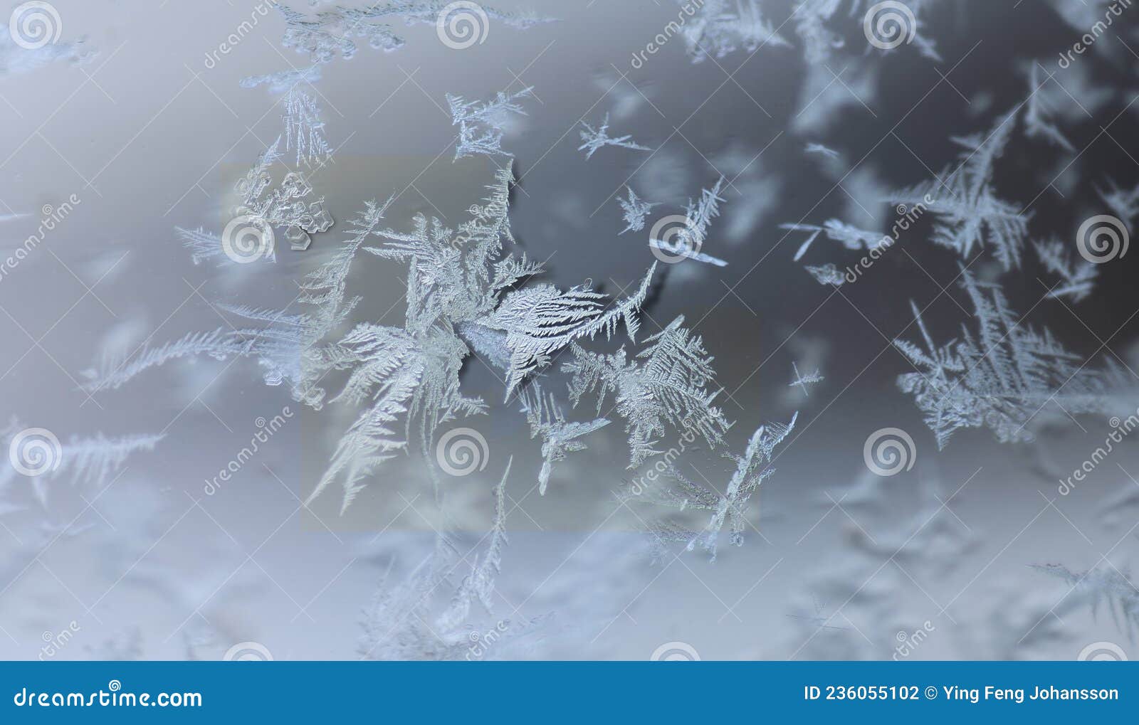 Ice crystals on glass stock photo. Image of winter, climate - 236055102