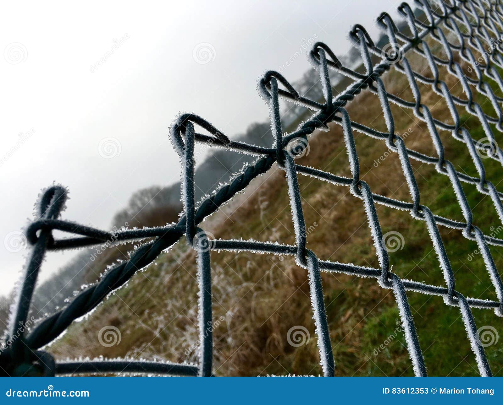 Ice Crystals on a Green Wire Mesh Fence Stock Image - Image of fencing ...