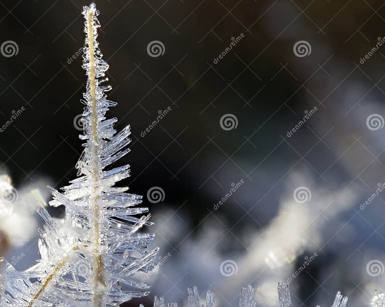 Ice crystals stock image. Image of water, grass, column - 308049251