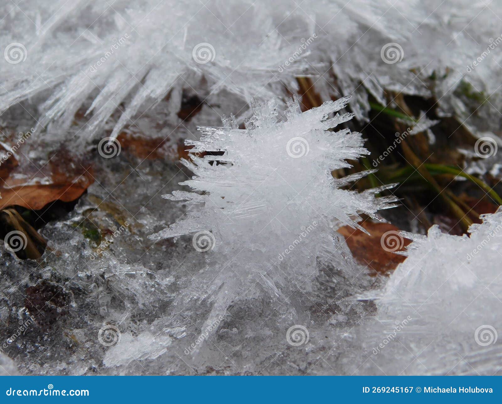 Frozen Water Crystals of Varuíous Shapes in a Bohemian Forest Brook ...