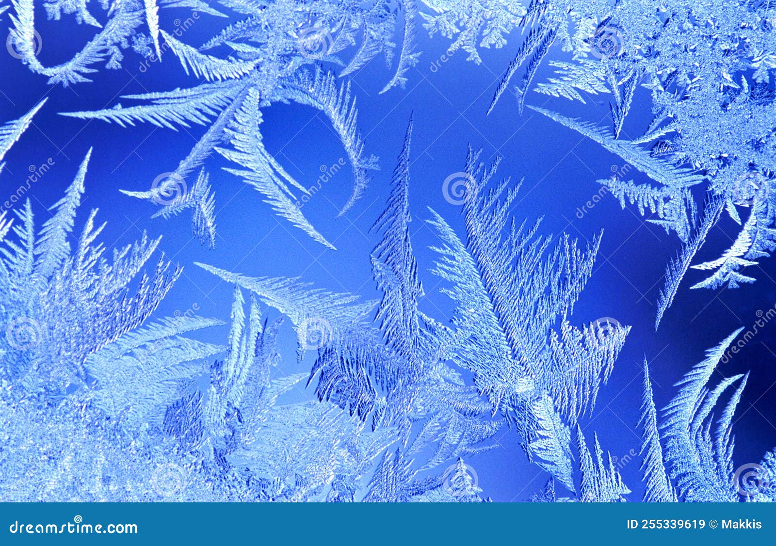 Ice Crystals on Window Glass Stock Image - Image of crystals, closeup ...