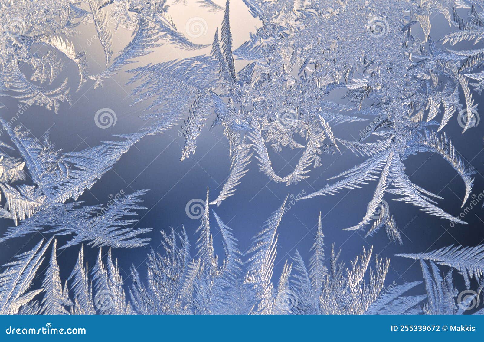 Ice Crystals on Window Glass Stock Photo - Image of arctic, focus ...