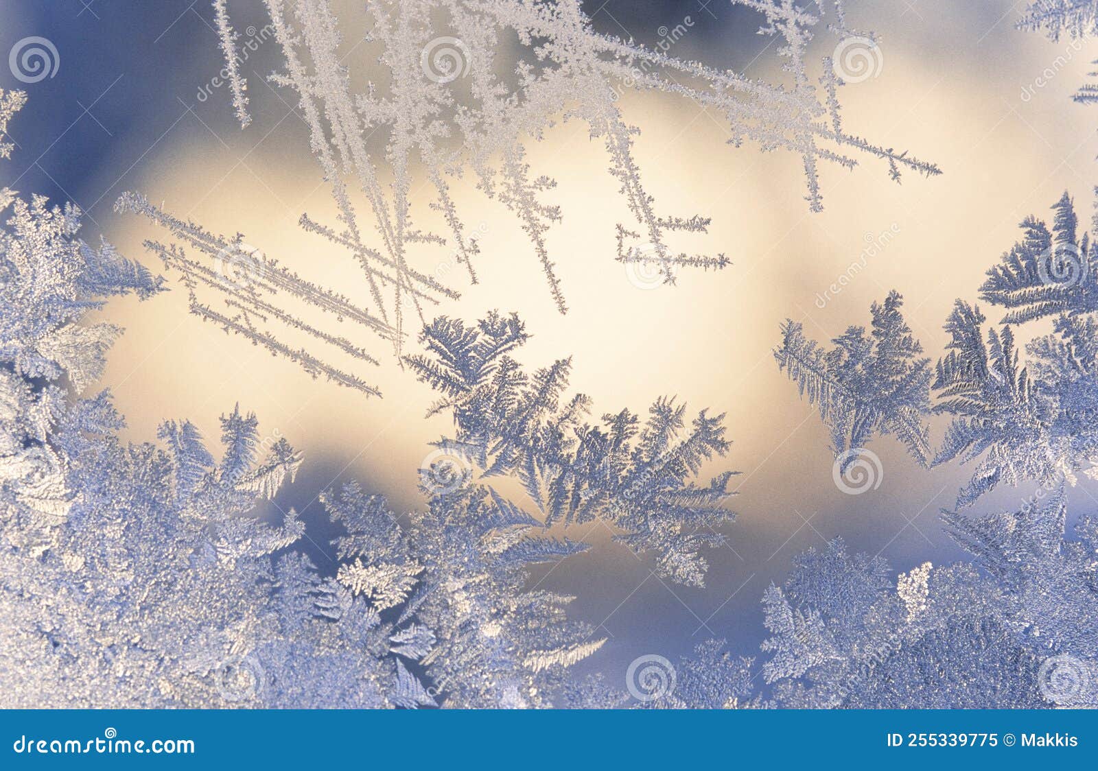 Ice Crystals on Window Glass Stock Image - Image of frozen, arctic ...