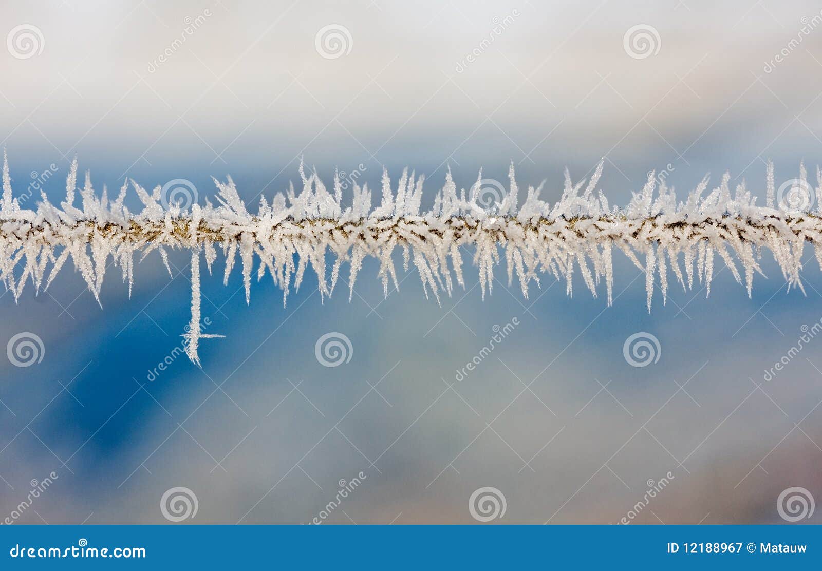 Ice crystals on a wire stock image. Image of season, frozen - 12188967