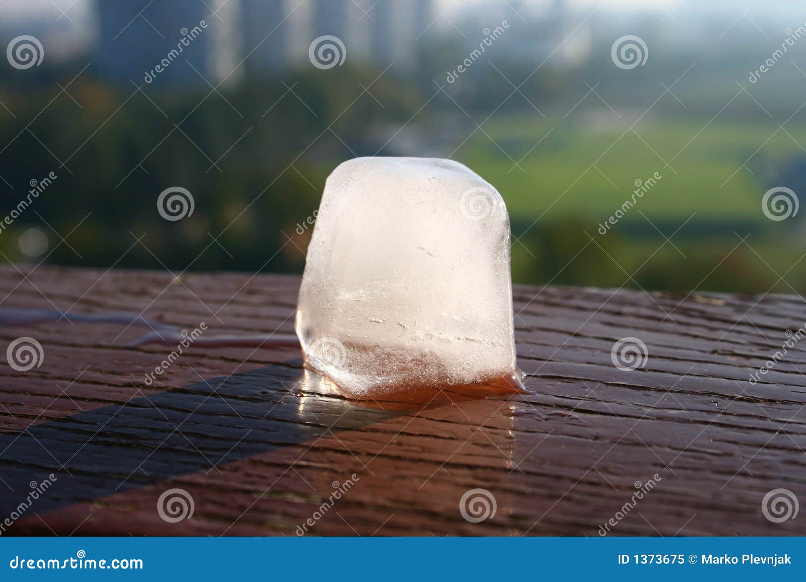 Ice cube stock image. Image of sunny, cool, cubes, cube - 1373675