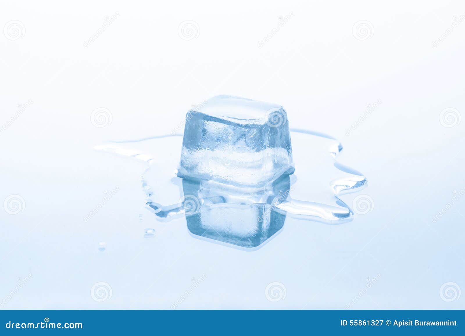 Ice Cube Melting
