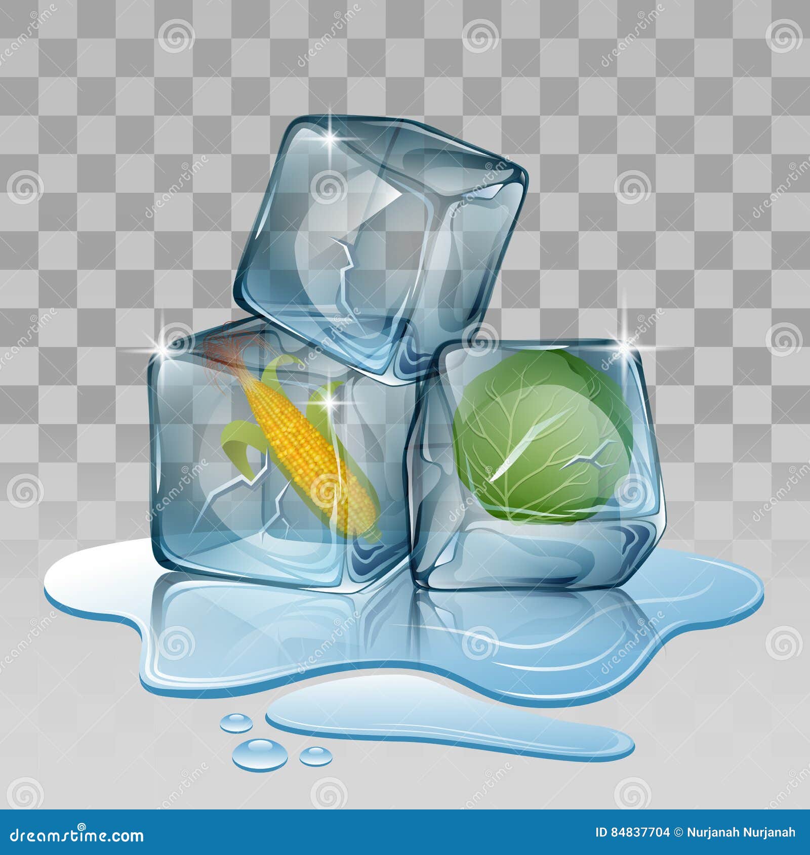 Ice Cube, Set with Corn and Cabbage Stock Vector - Illustration of ...
