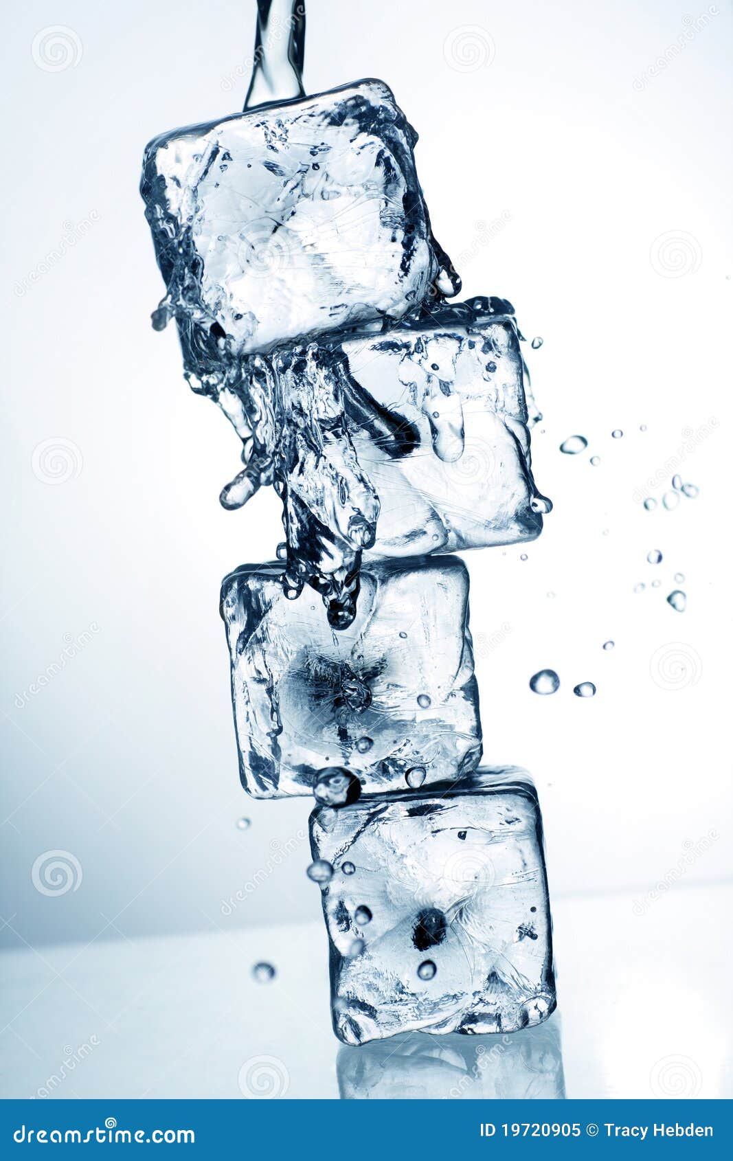 Ice cubes stock image. Image of water, freezing, block - 19720905