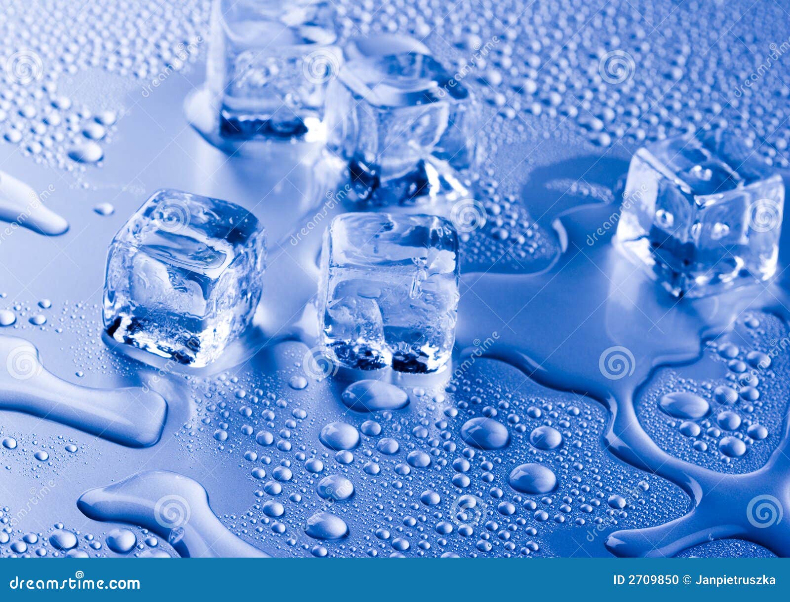 Ice cubes stock photo. Image of melt, reflection, icecubes - 2709850