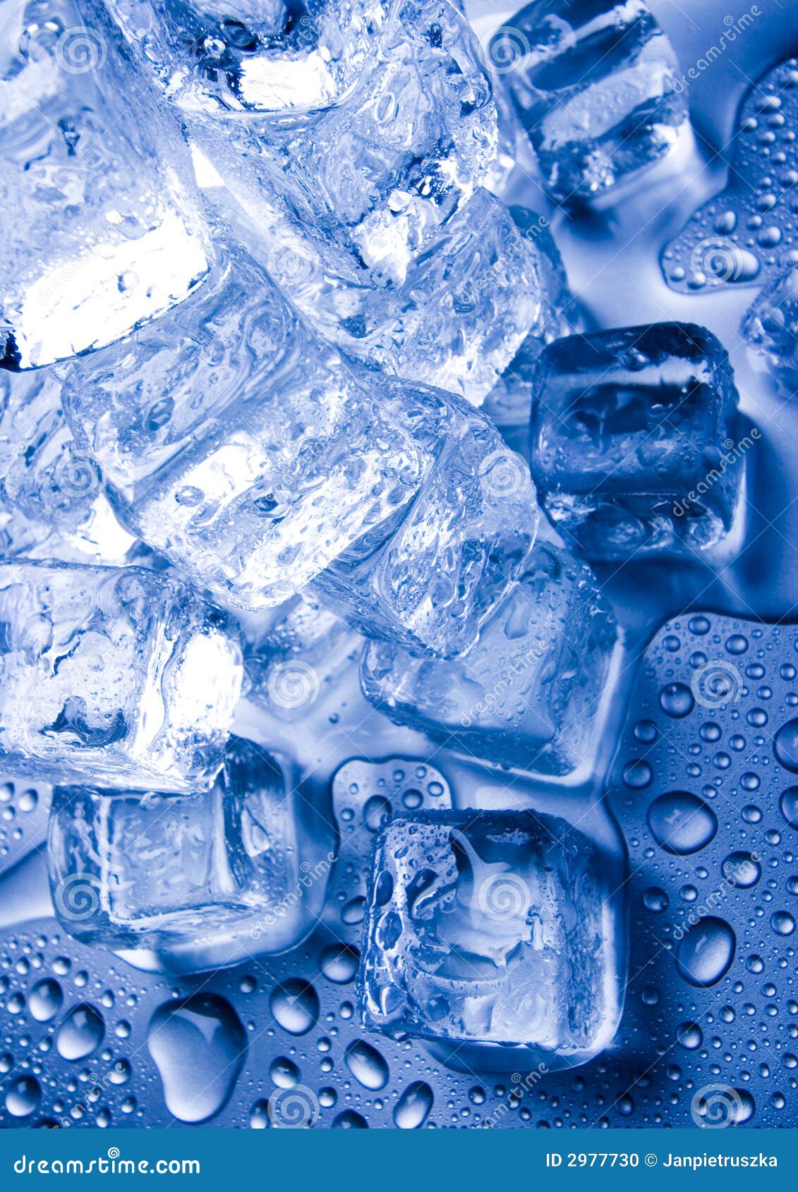 Ice cubes stock photo. Image of close, frigid, melt, freezer - 2977730