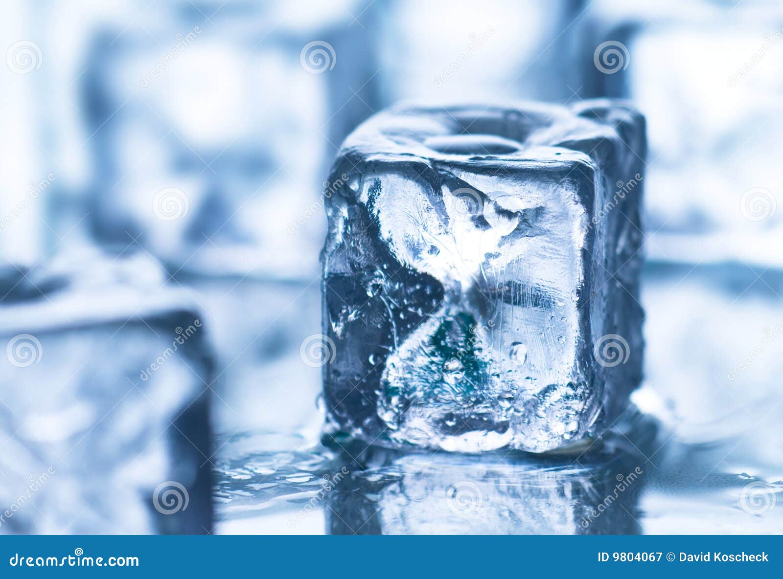 Ice cubes stock image. Image of reflection, clear, white - 9804067
