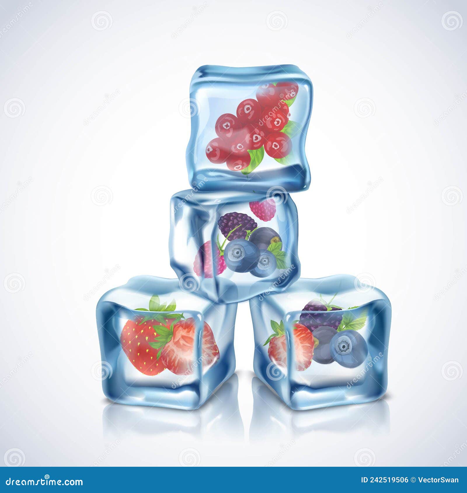 Ice Cubes with Berries stock vector. Illustration of nature - 242519506