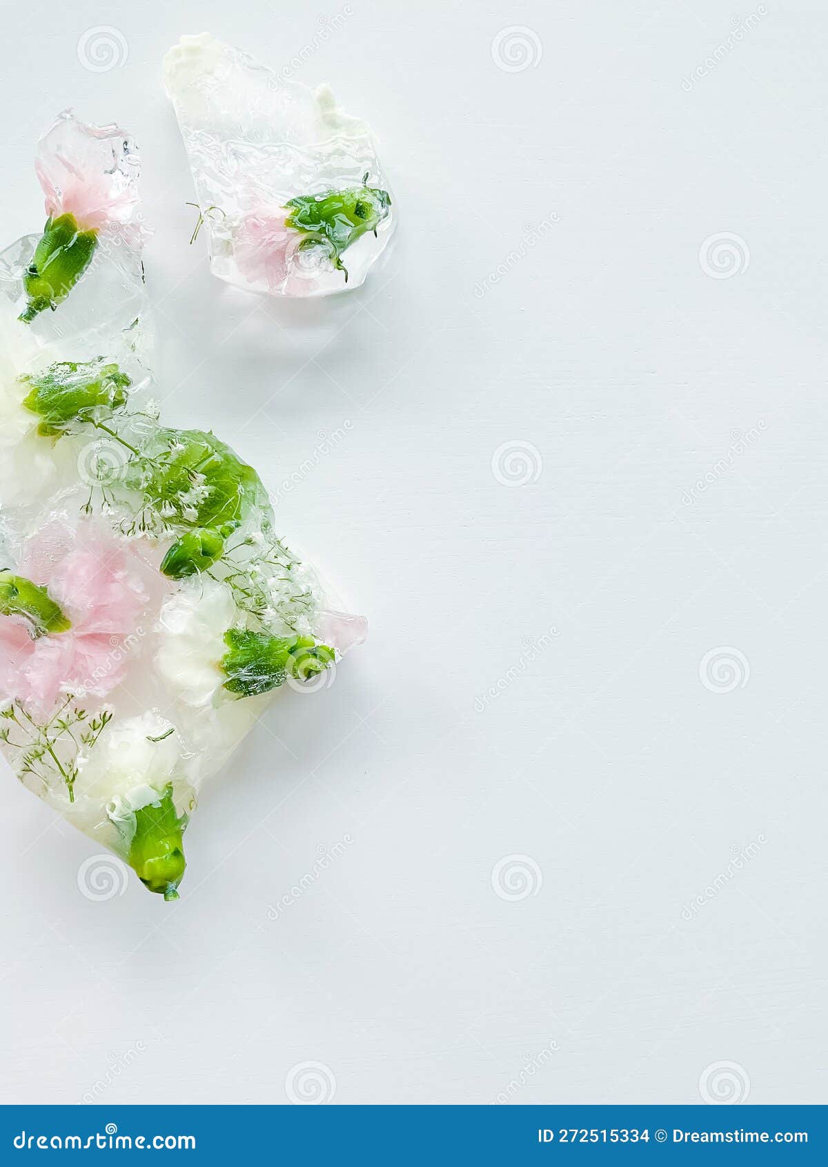 Ice Cubes with Flowers Inside on White Background Stock Photo - Image ...