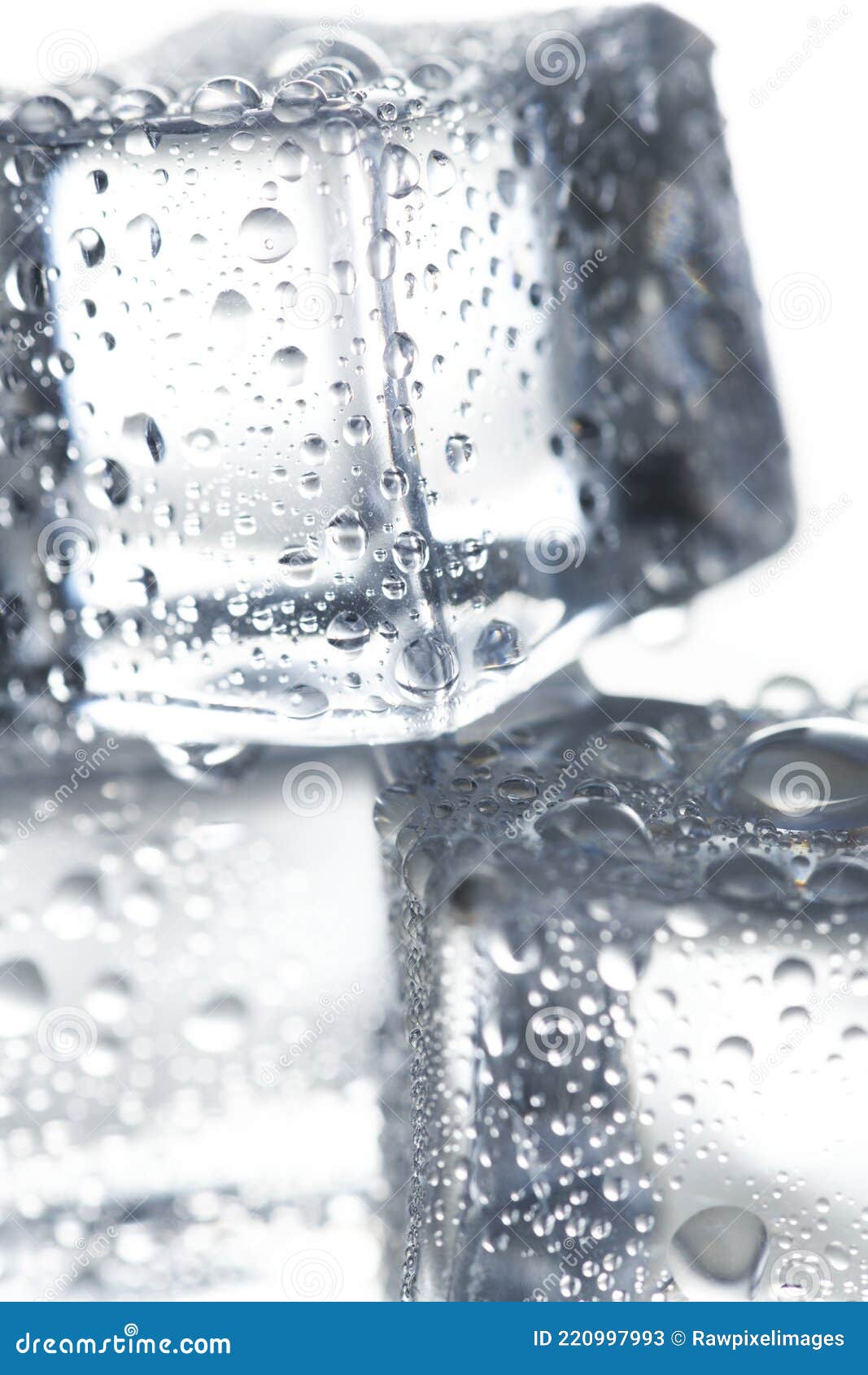 Ice cubes macro shot stock image. Image of drinkable - 220997993