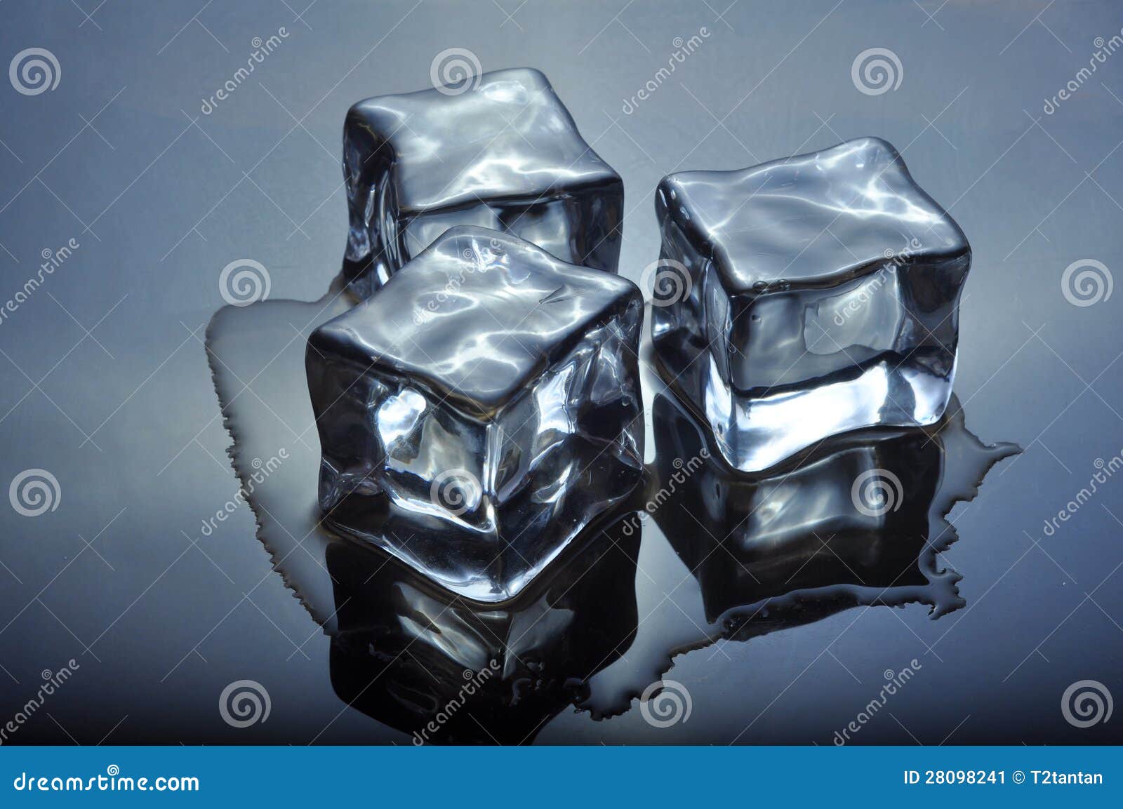 Ice Cubes Melting on Glass stock image. Image of glass - 28098241
