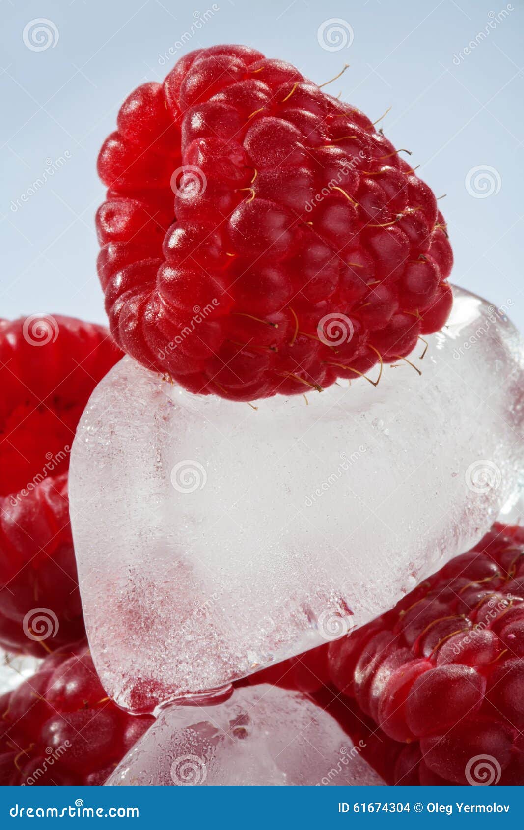 Ice cubes with raspberries stock photo. Image of drink - 61674304