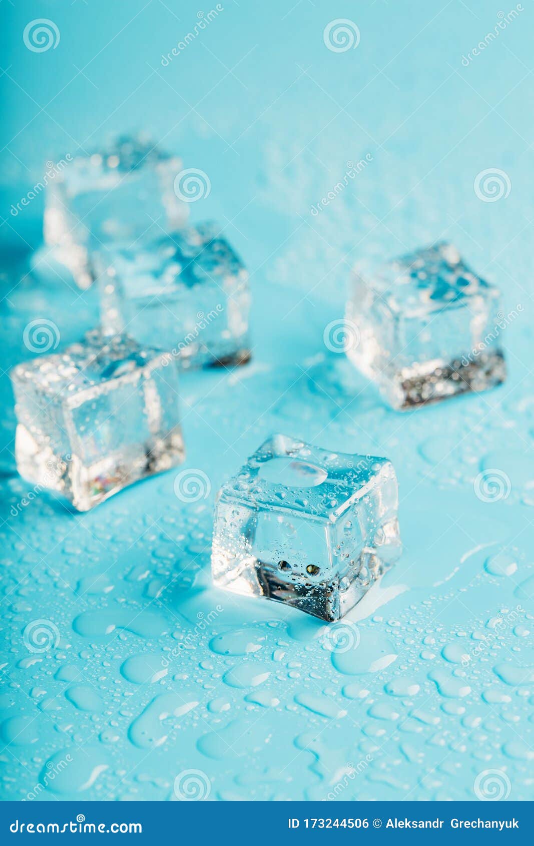 Ice Cubes are Scattered with Water Drops Scattered on a Blue Background ...