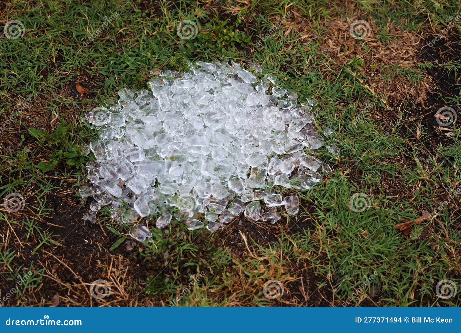 Ice Cubes On The Grass Stock Image | CartoonDealer.com #163874647