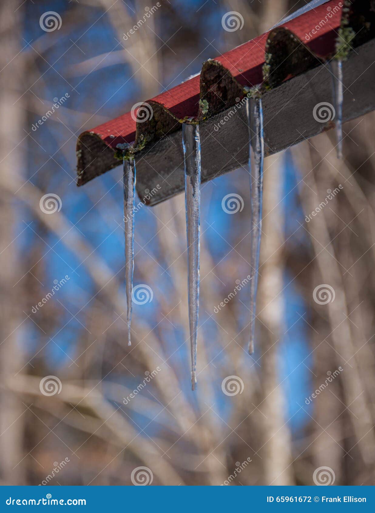 Ice Cycles stock photo. Image of dripping, cycles, sunny - 65961672