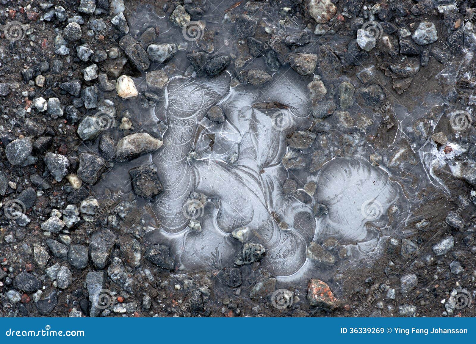 Ice on dirt road stock image. Image of nature, winter - 36339269